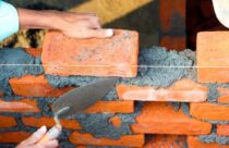 Tipos de mamangava: conheça as espécies e onde vivem - Big Busca